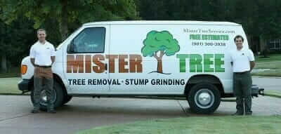 About Us – Mister Tree Service